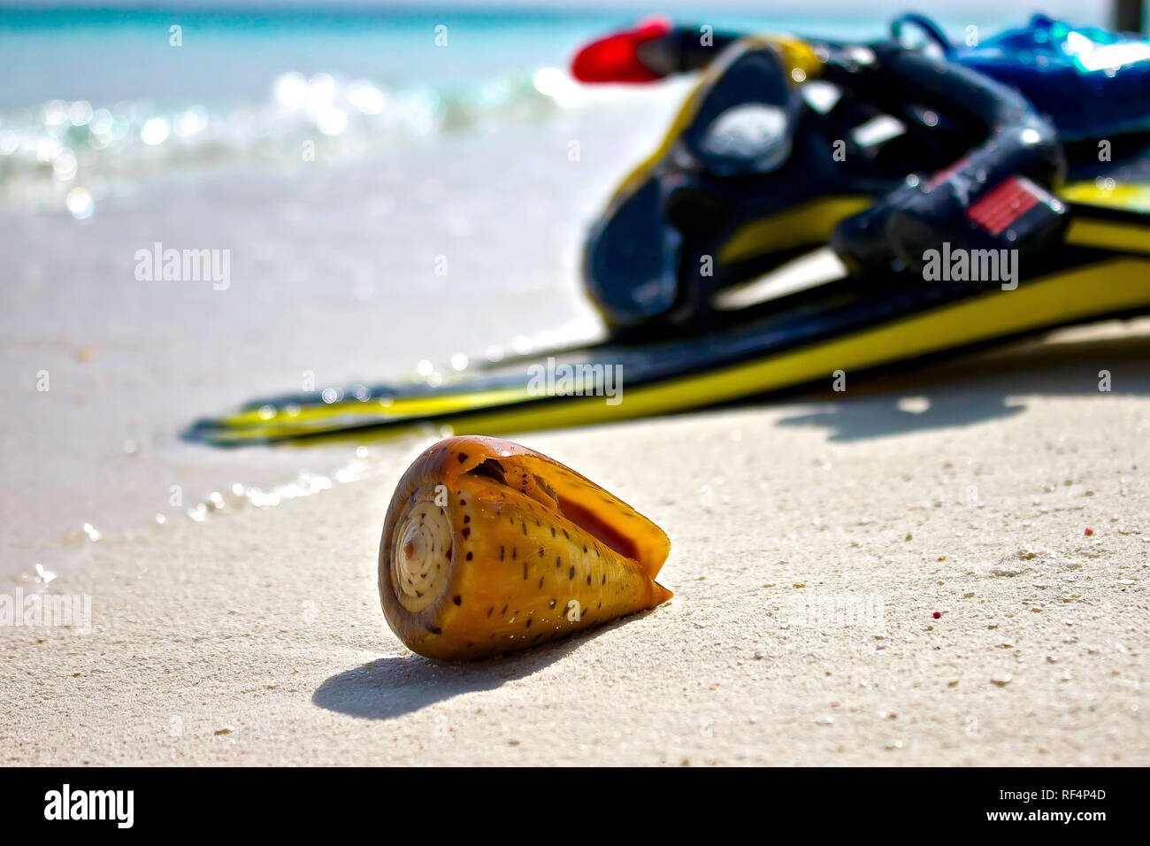 Snorkeling in maldives hi-res stock photography and images - Alamy