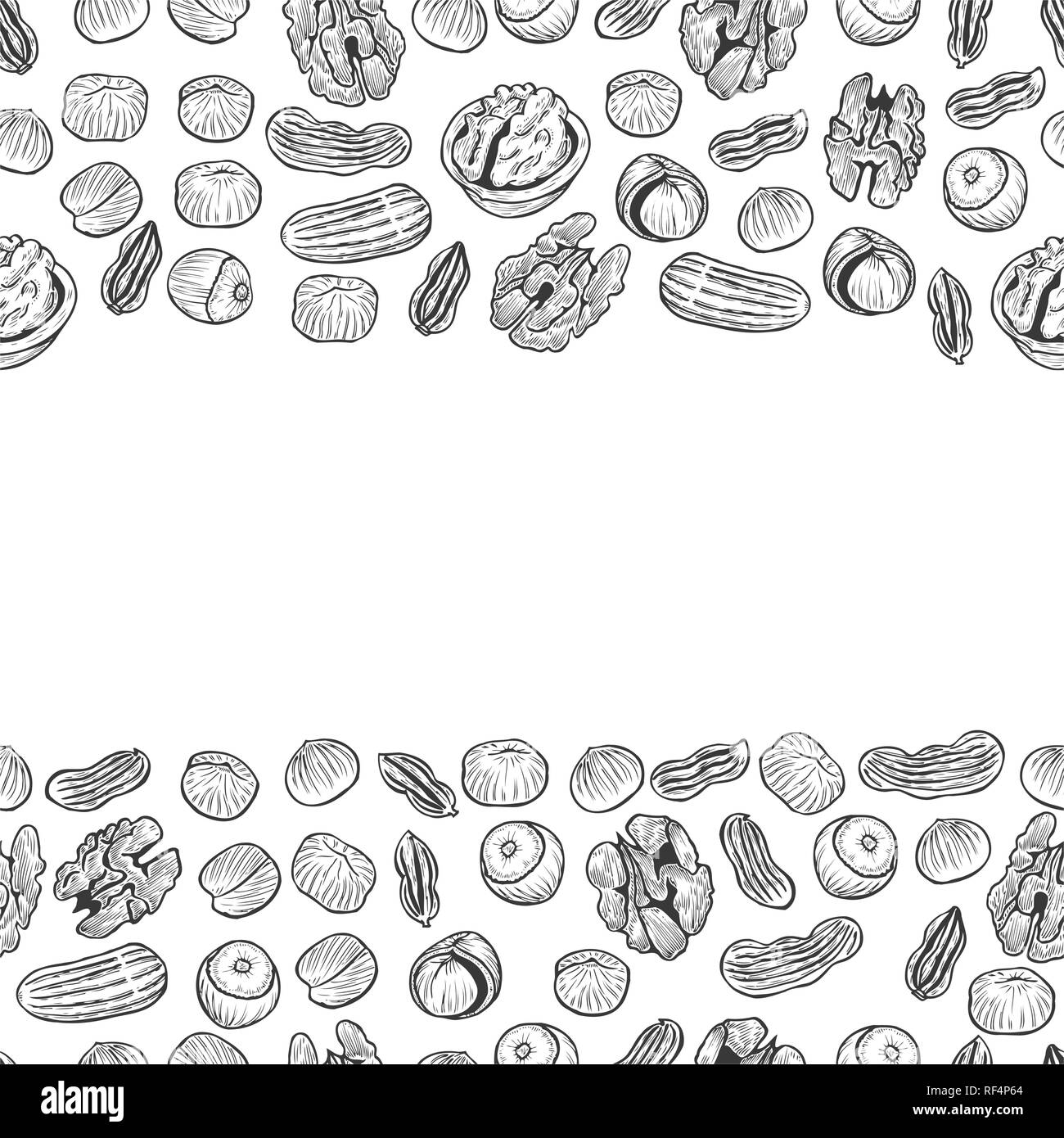 Nuts Seamless vector pattern. Outline hand drawn illustration. Black ...