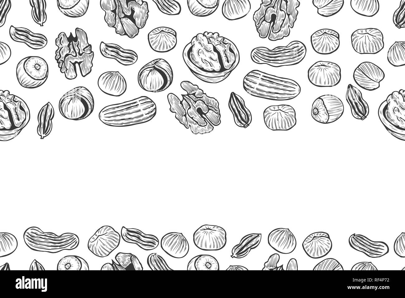 Nuts Seamless vector pattern. Outline hand drawn illustration. Black ...