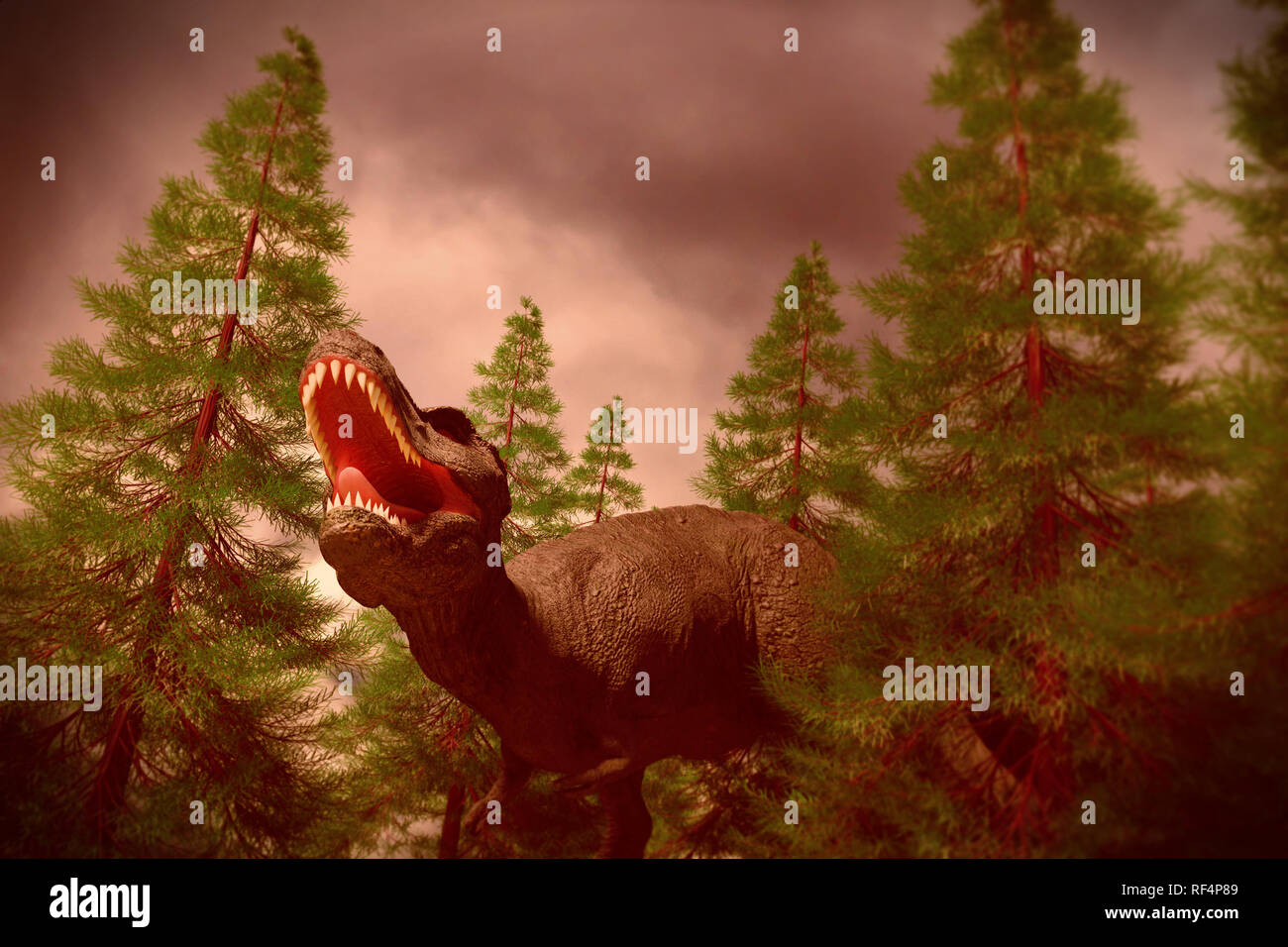 roaring T-rex, Tyrannosaurus rex dinosaur between pine trees (3d ...