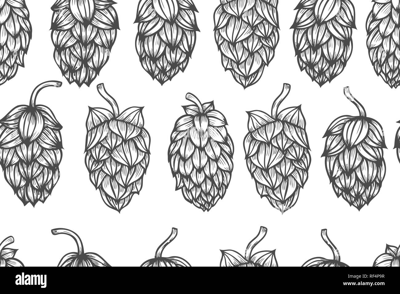 Hop vector seamless pattern.Black hand drawn artistic beer hopes on ...