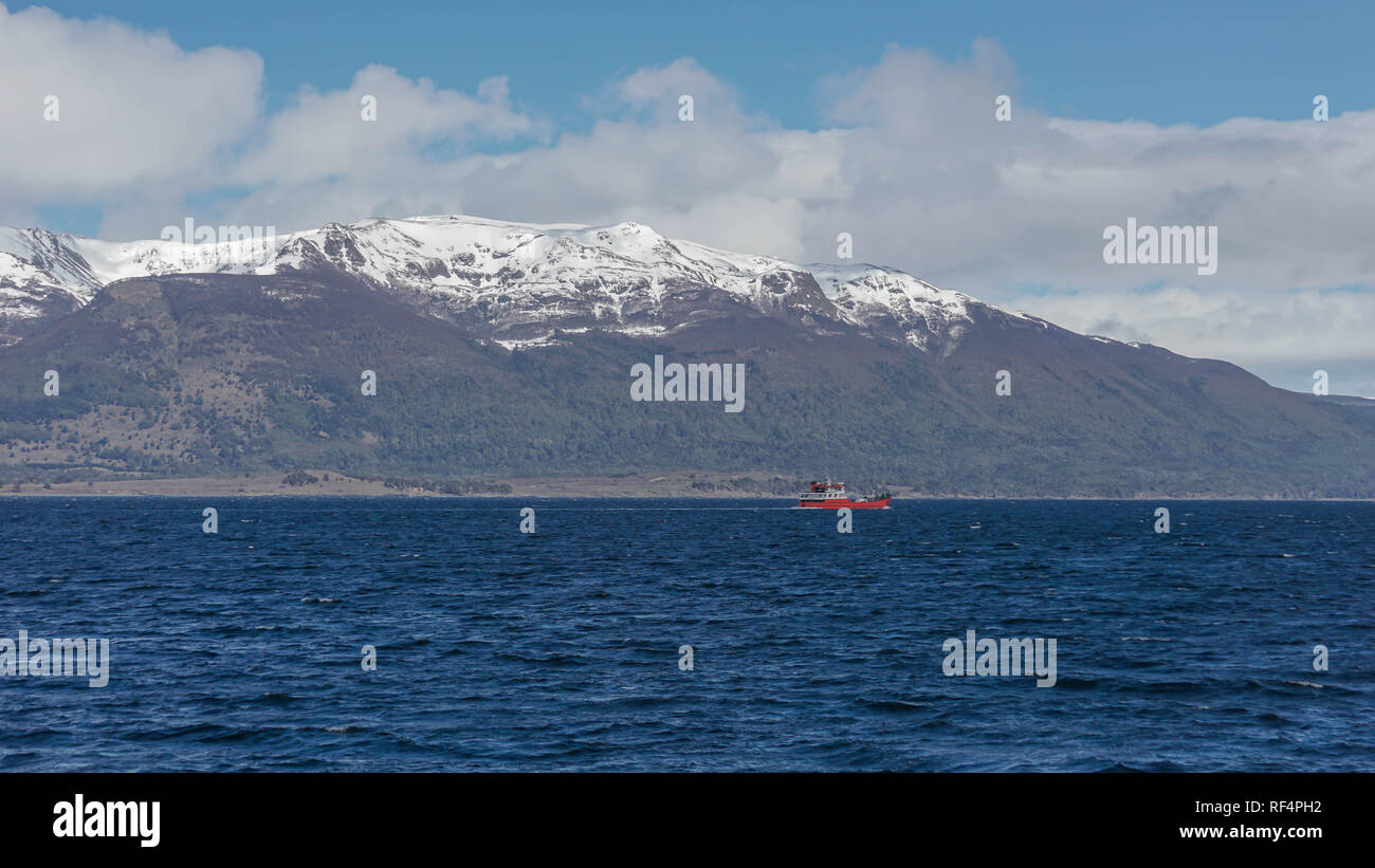 Penguins at Isla Martillo, Beagle Channel Ushuaia Patagonia Tierra del ...