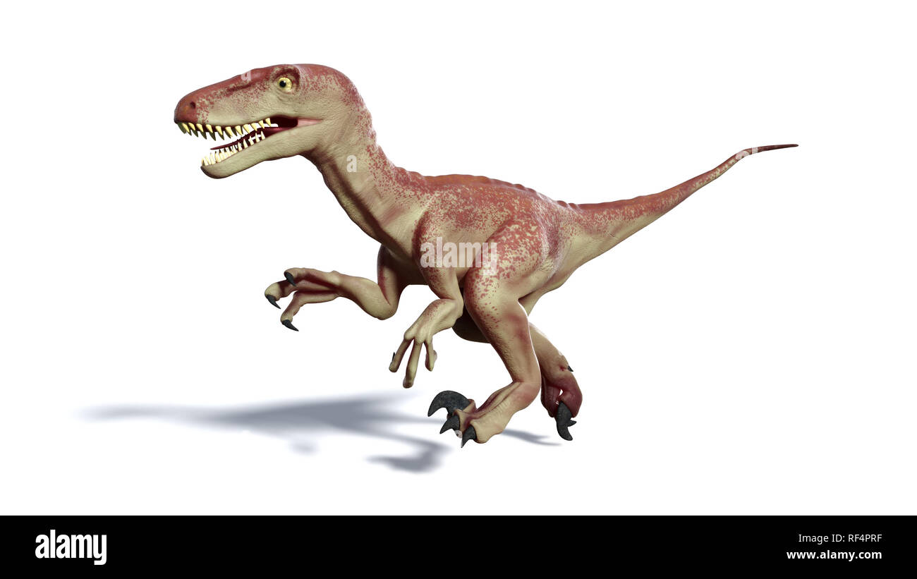 running Dromaeosaur dinosaur (3d illustration isolated with shadow on ...