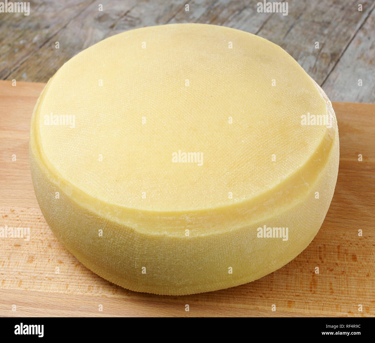 Wheel of traditional slovenian cheese called "Tolminc Stock Photo - Alamy