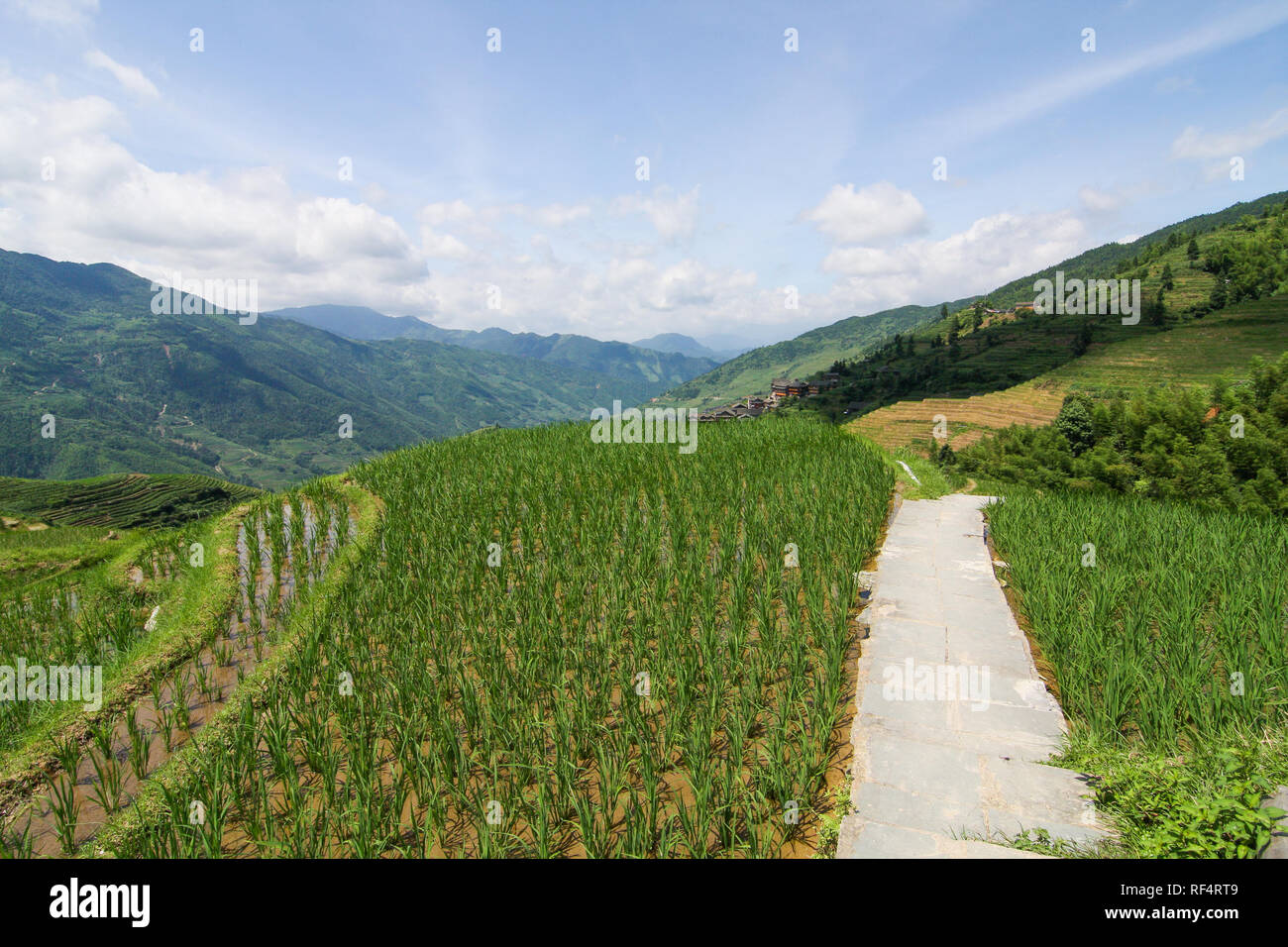 Small stone path in Longshen rice terraces Stock Photo - Alamy