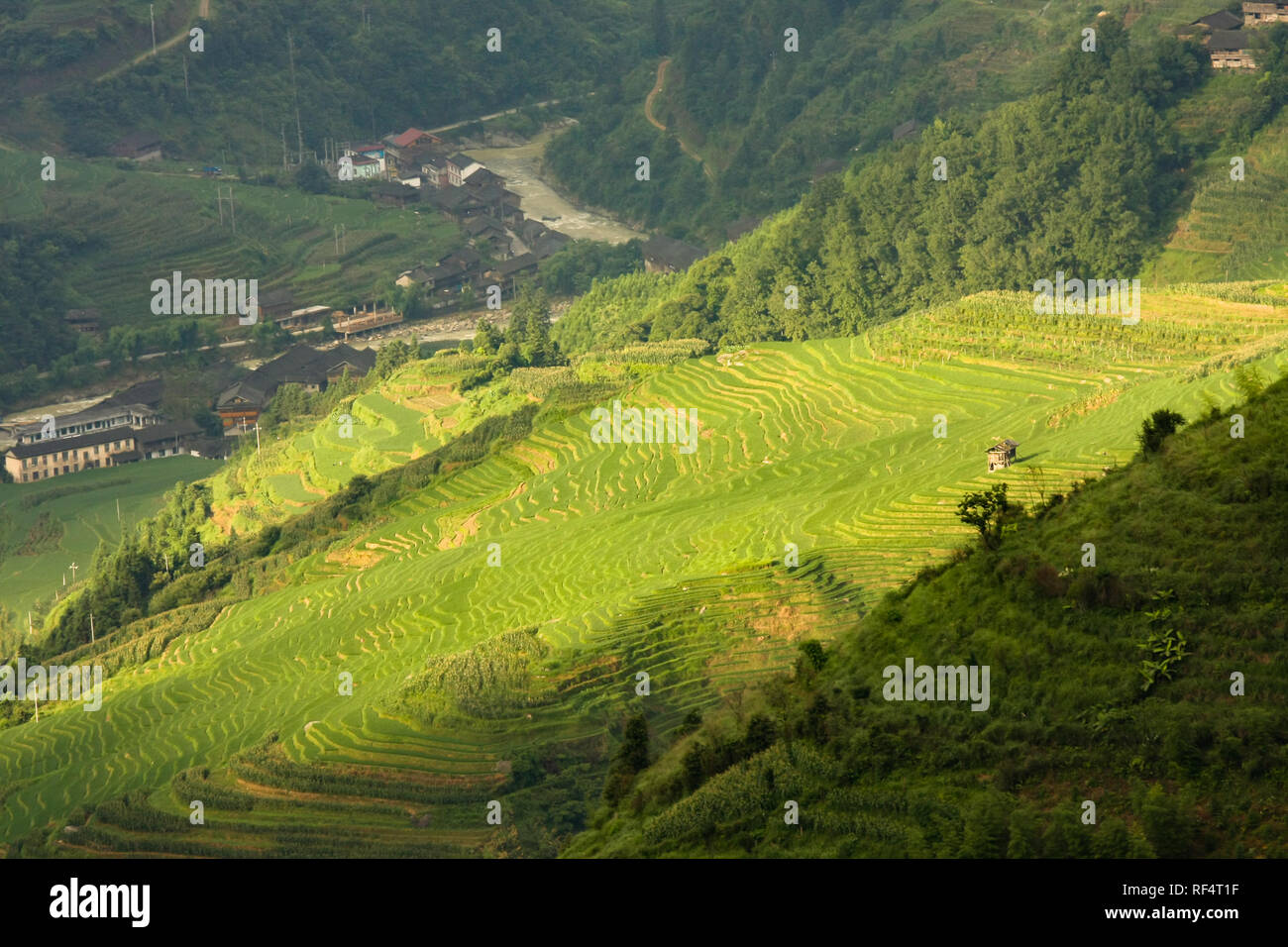 Longsheng rice terraces landscape in China Stock Photo - Alamy