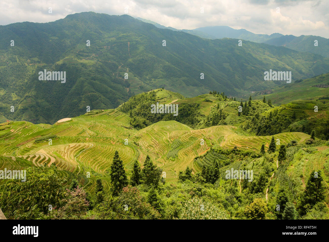 Longsheng rice terraces landscape in China Stock Photo - Alamy