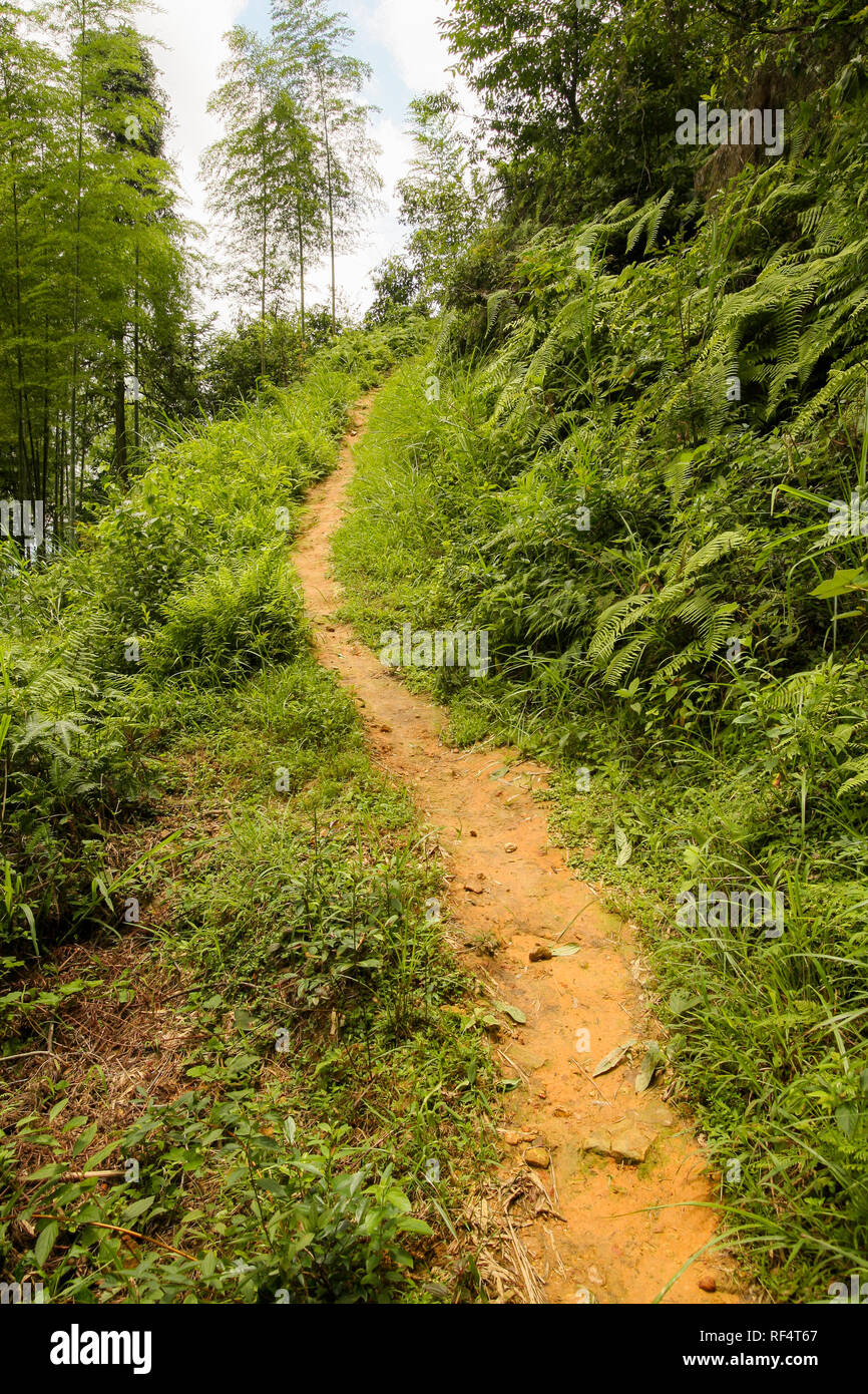 Small path in chinese mountains Stock Photo - Alamy