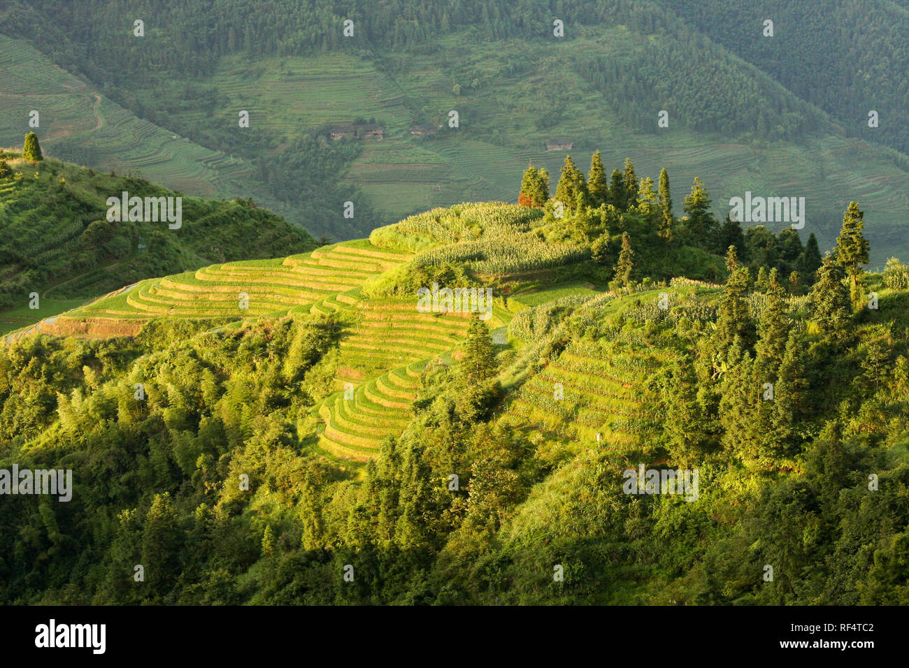 Longsheng rice terraces landscape in China Stock Photo - Alamy