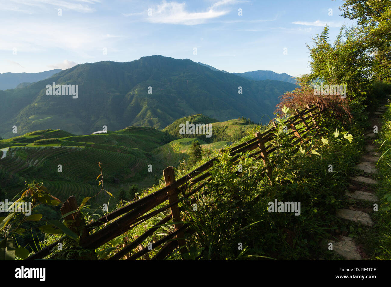 Longsheng rice terraces landscape in China Stock Photo - Alamy
