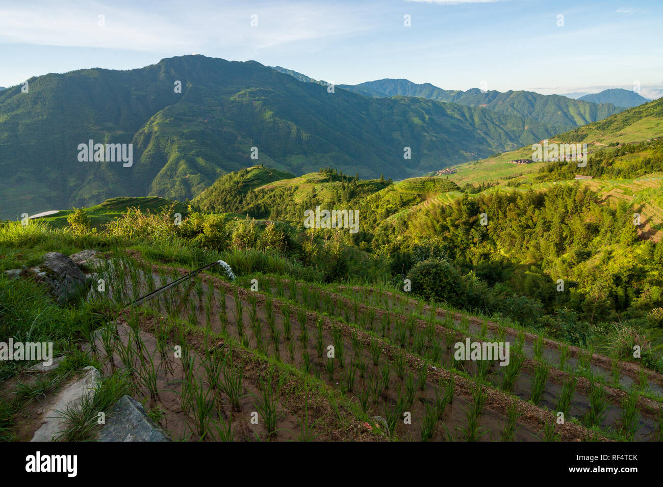 Longsheng rice terraces landscape in China Stock Photo - Alamy