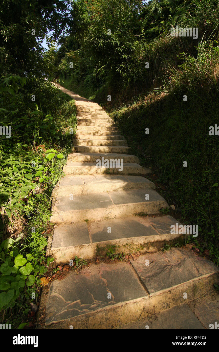 Small stone steps in forest Stock Photo - Alamy