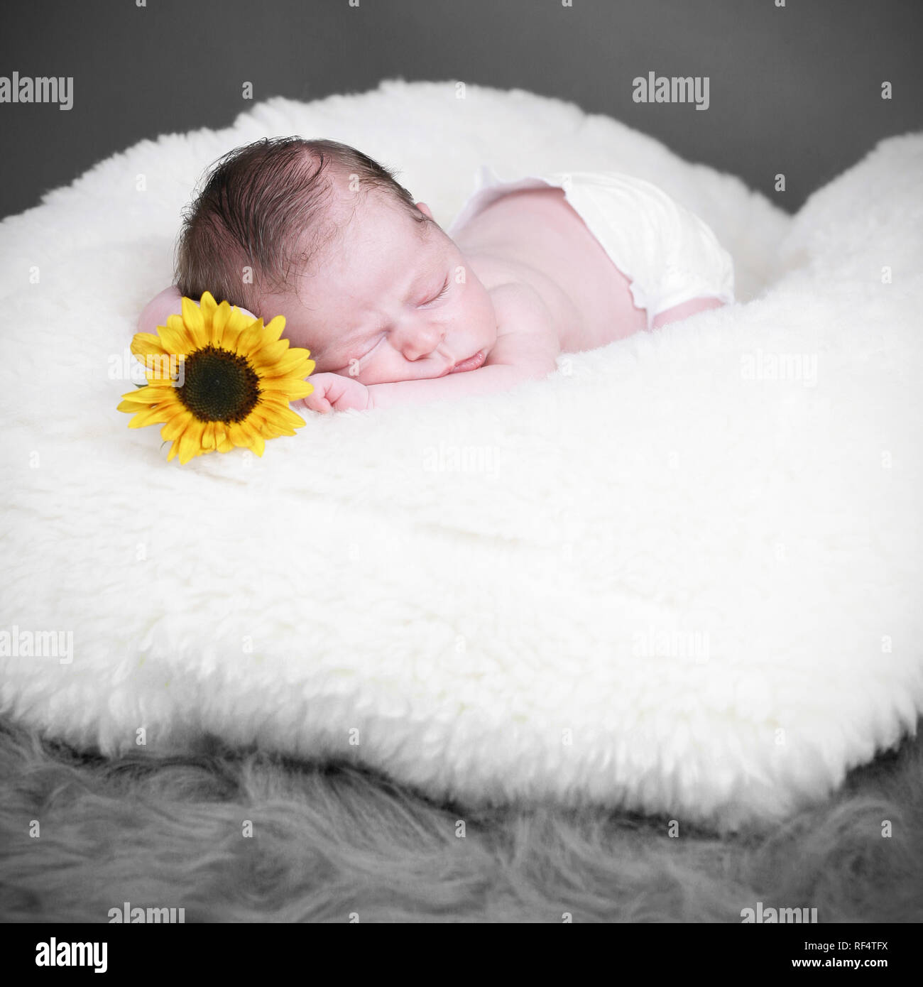 Adorable newborn baby with sunflower Stock Photo - Alamy