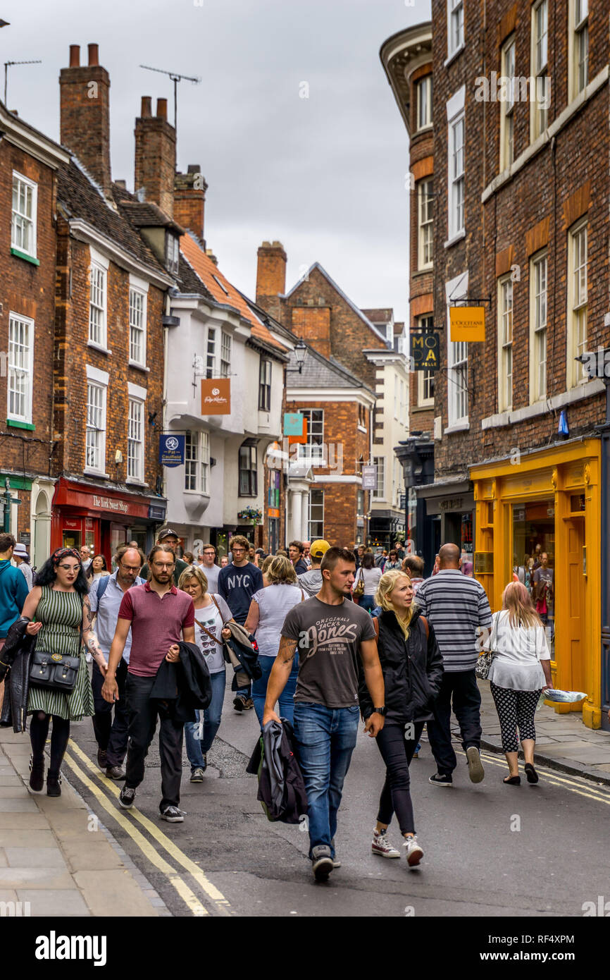 The Shambles, the narrow street of half-timbered old medieval buildings ...