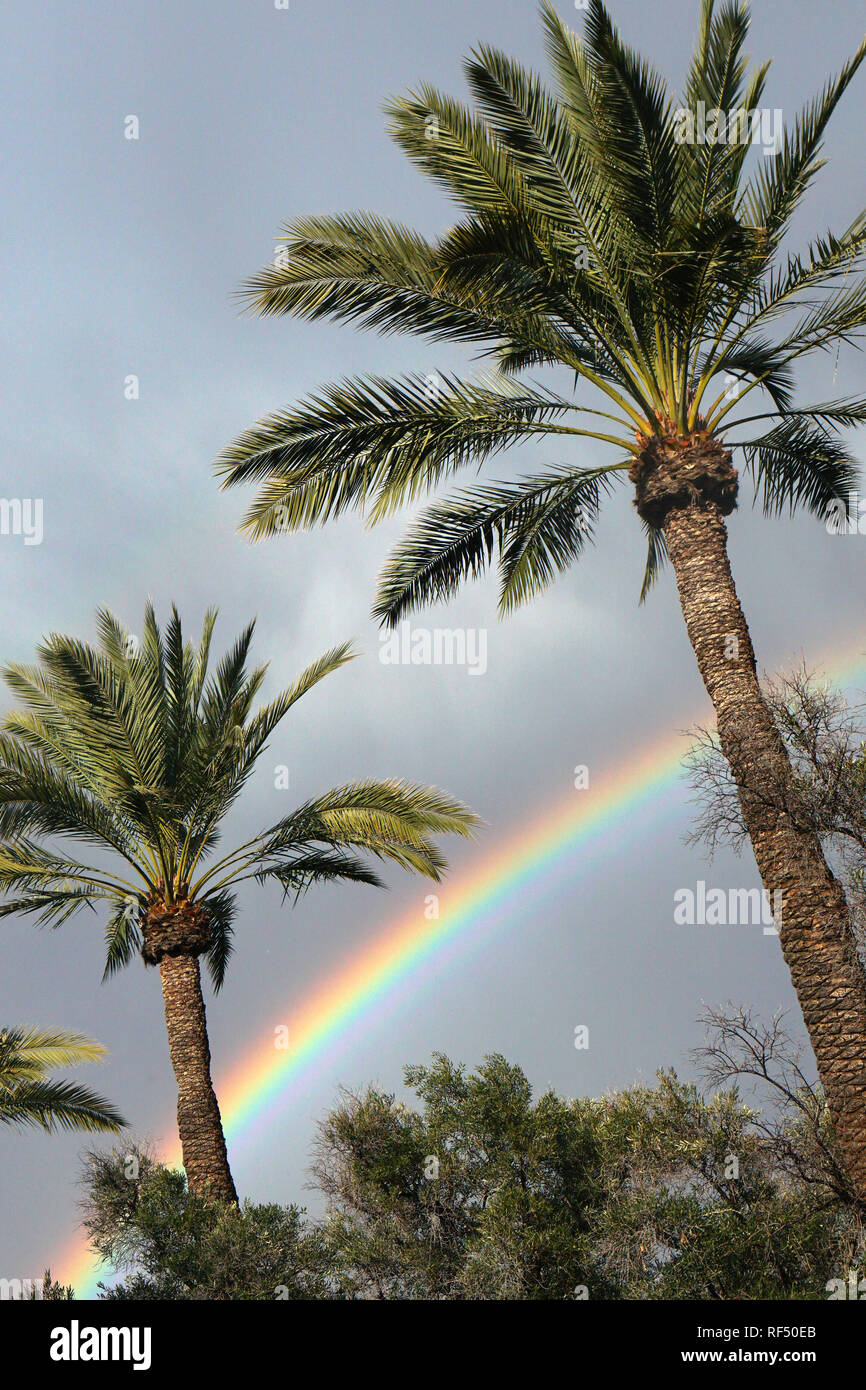 A rainbow appears in Phoenix, Arizona after a rain storm Stock Photo ...
