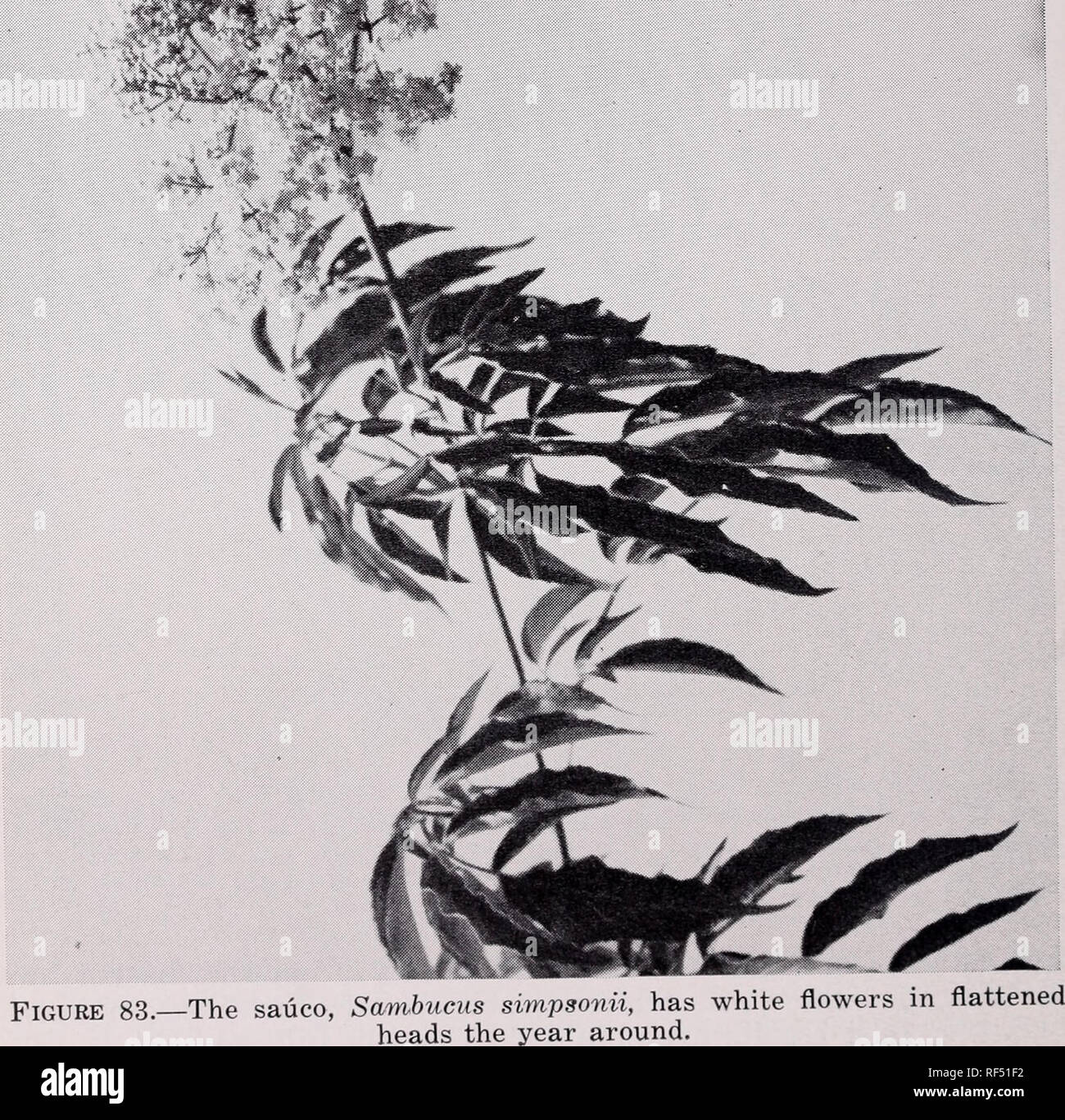 Irregular rainfall hi-res stock photography and images - Alamy