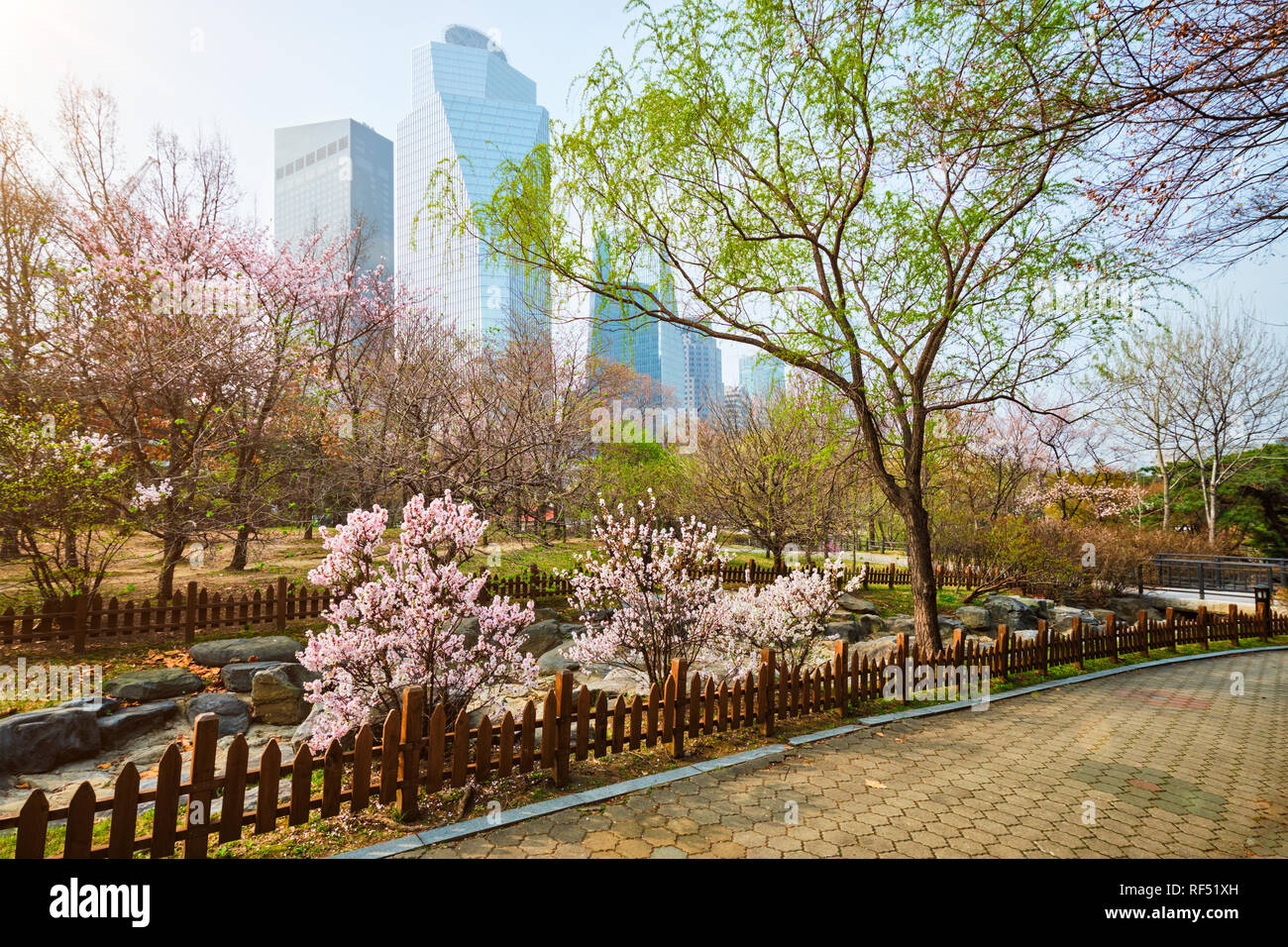 Yeouido Park in Seoul, Korea Stock Photo - Alamy
