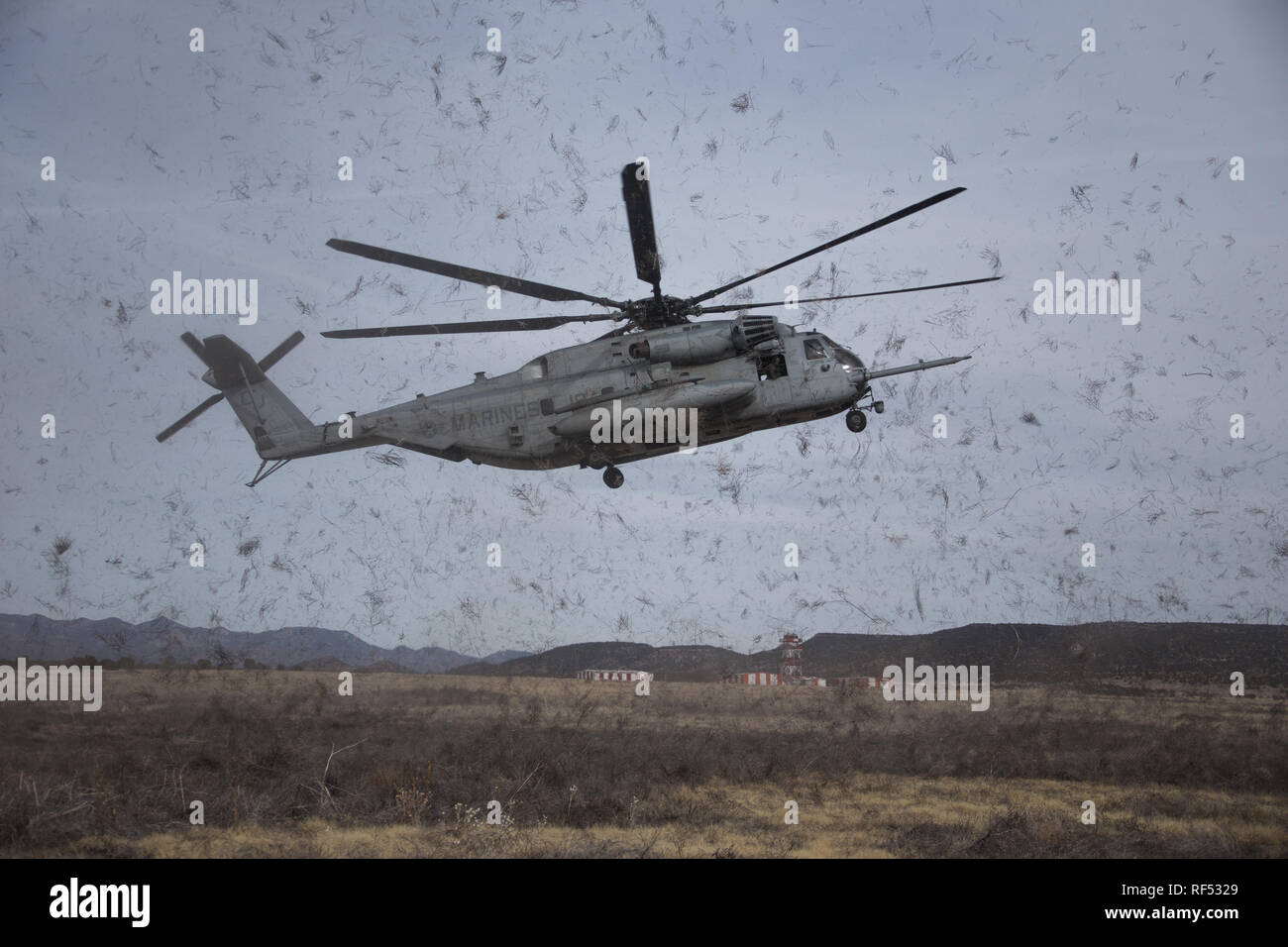 Stallion springs hi-res stock photography and images - Alamy