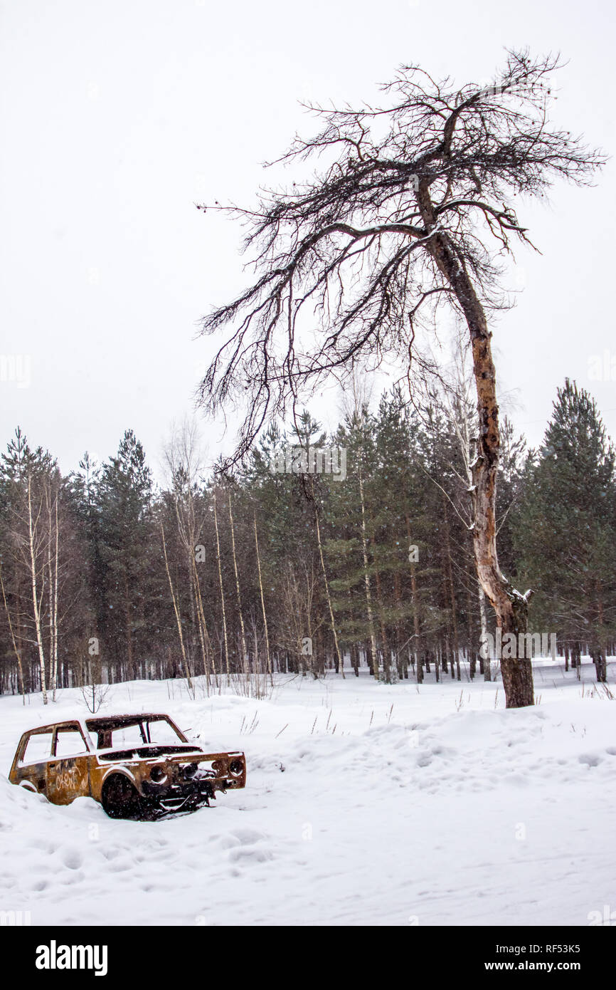 Old abandoned rusty car in snow in Russian winter forest under a tree Stock Photo - Alamy