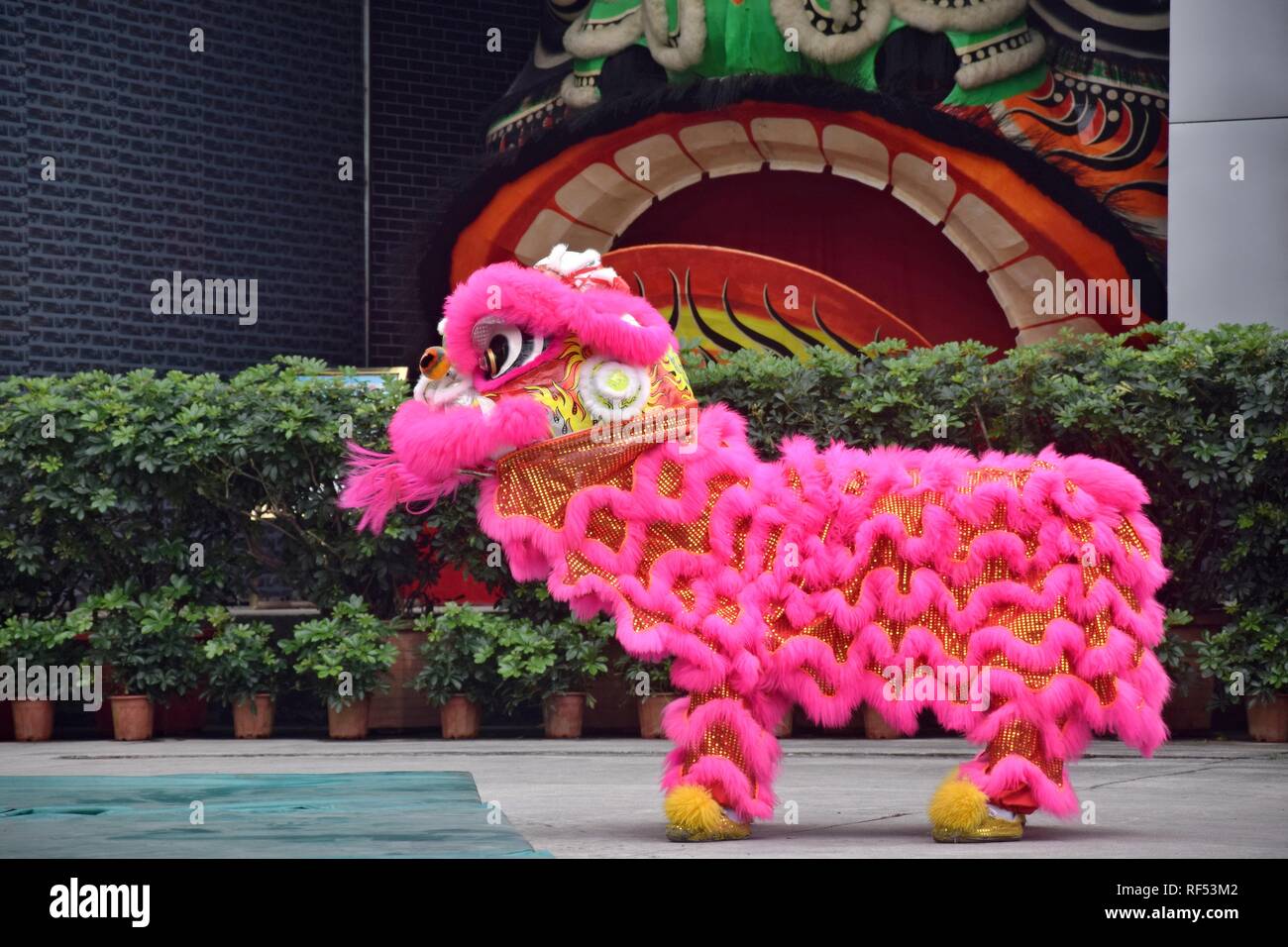 Lion Dance is a form of traditional dance in Chinese culture in which ...