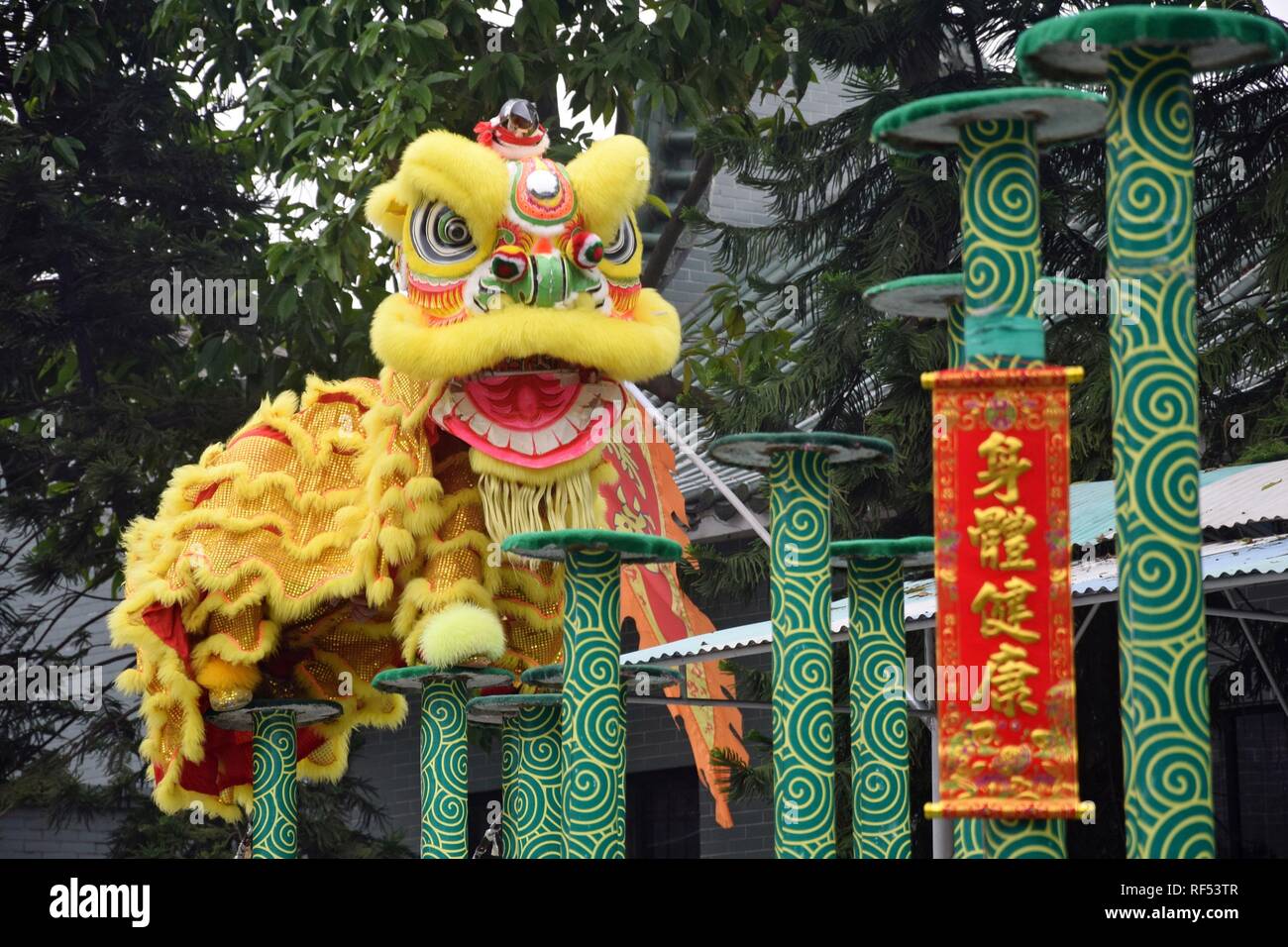 Lion Dance is a form of traditional dance in Chinese culture in which ...