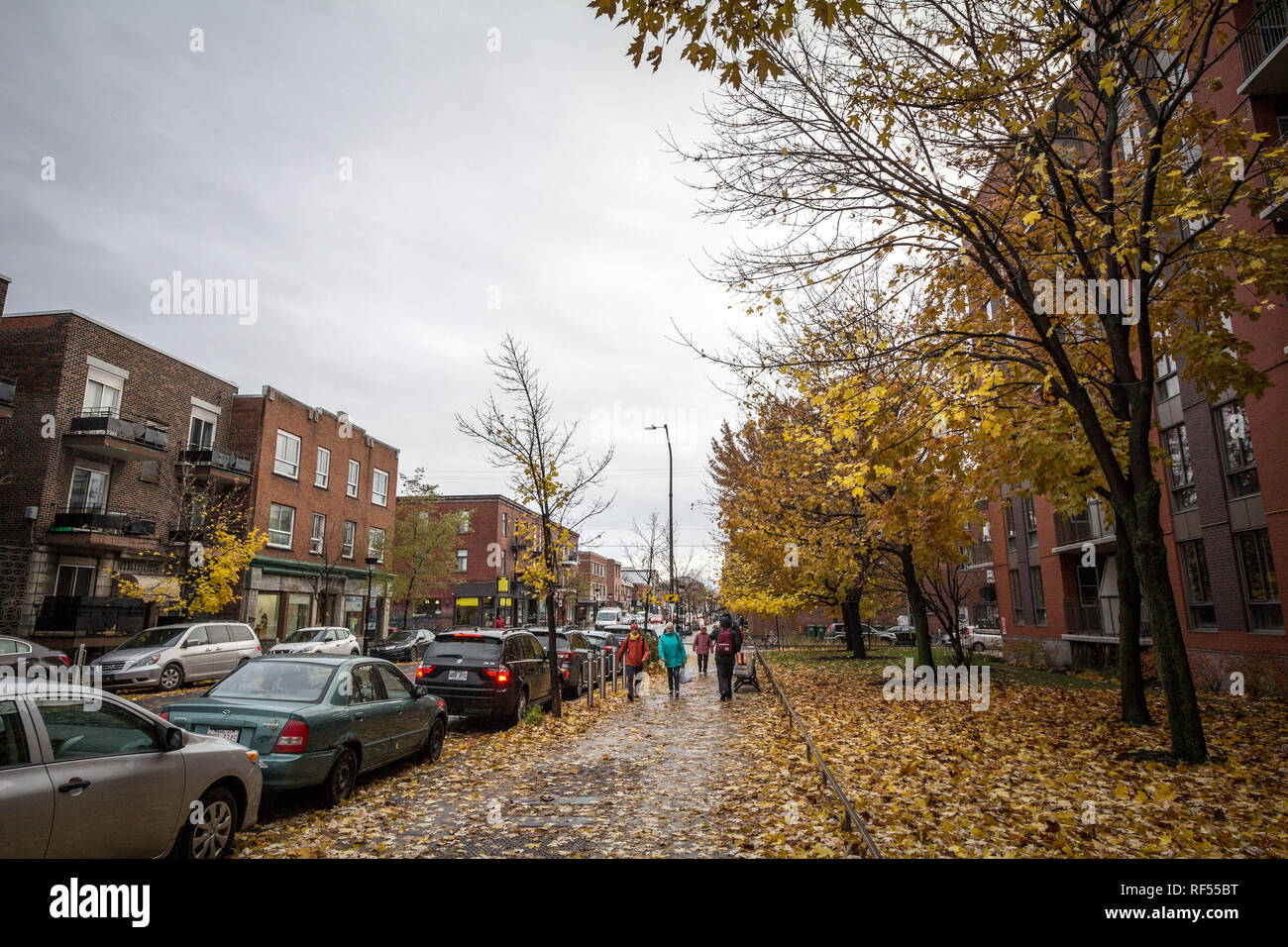 MONTREAL, CANADA - NOVEMBER 6, 2018: people walking with during a rainy ...
