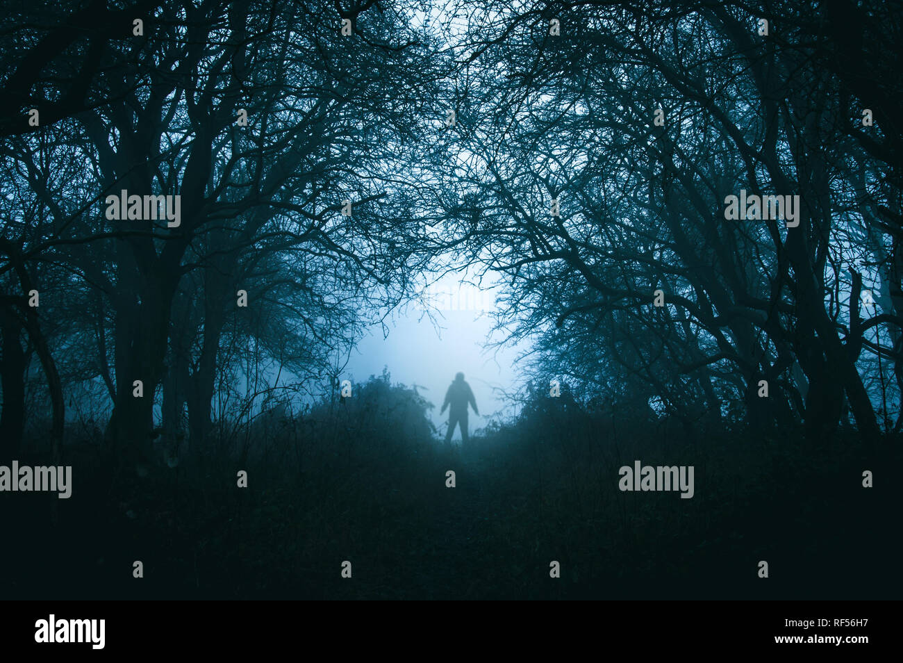 Hooded figure and woods hi-res stock photography and images - Alamy