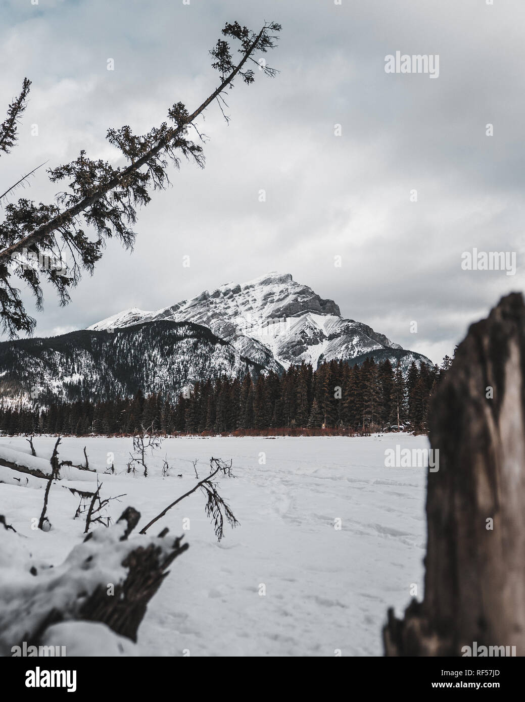 Sunny alberta hi-res stock photography and images - Alamy