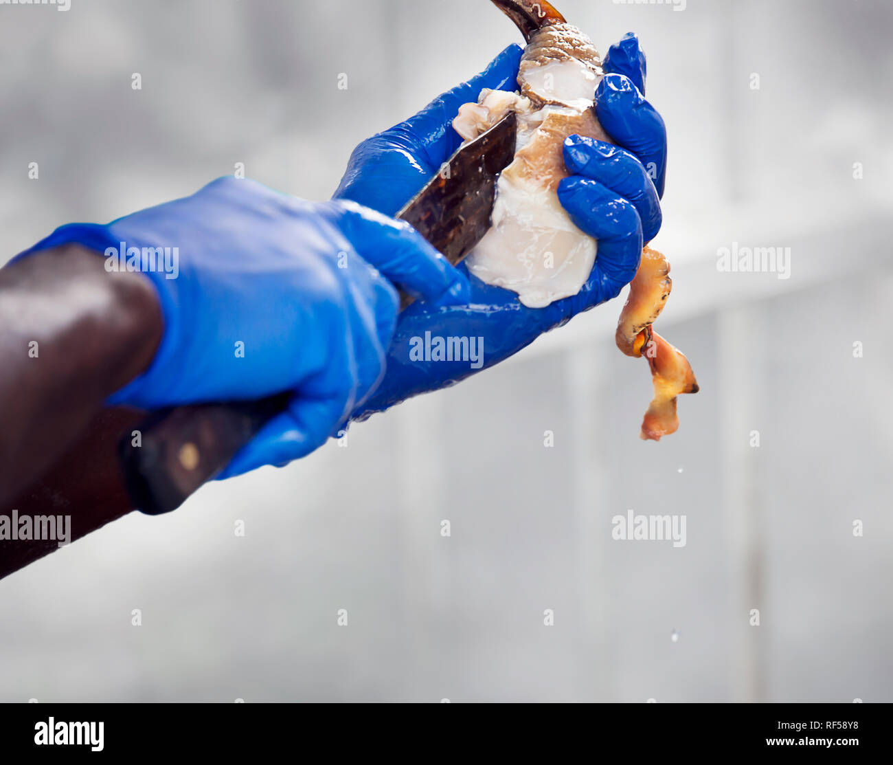 Bahamian man hi-res stock photography and images - Alamy