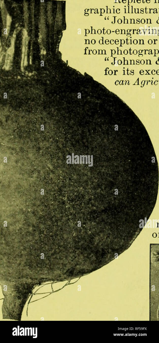 . 1901 Johnson & Stokes garden and farm manual. Nurseries (Horticulture ...
