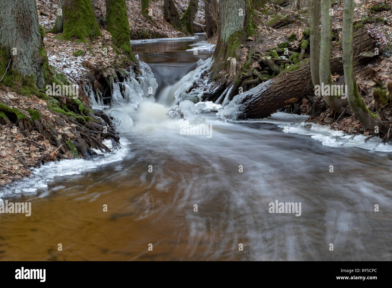A small river flowing between trees with a small water degree. The ...