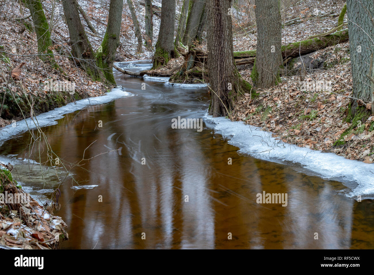 A small river flowing between trees with a small water degree. The ...