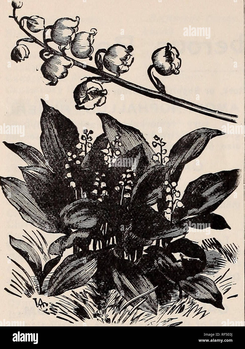 . Annual descriptive catalogue of Alfred Bridgeman flower, vegetable ...