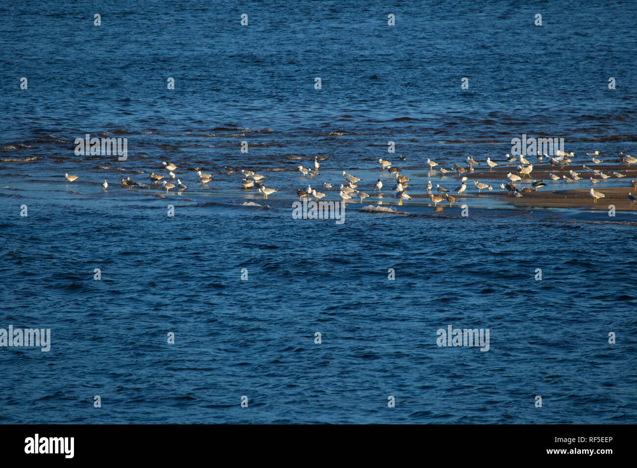 Bank sand hi-res stock photography and images - Alamy