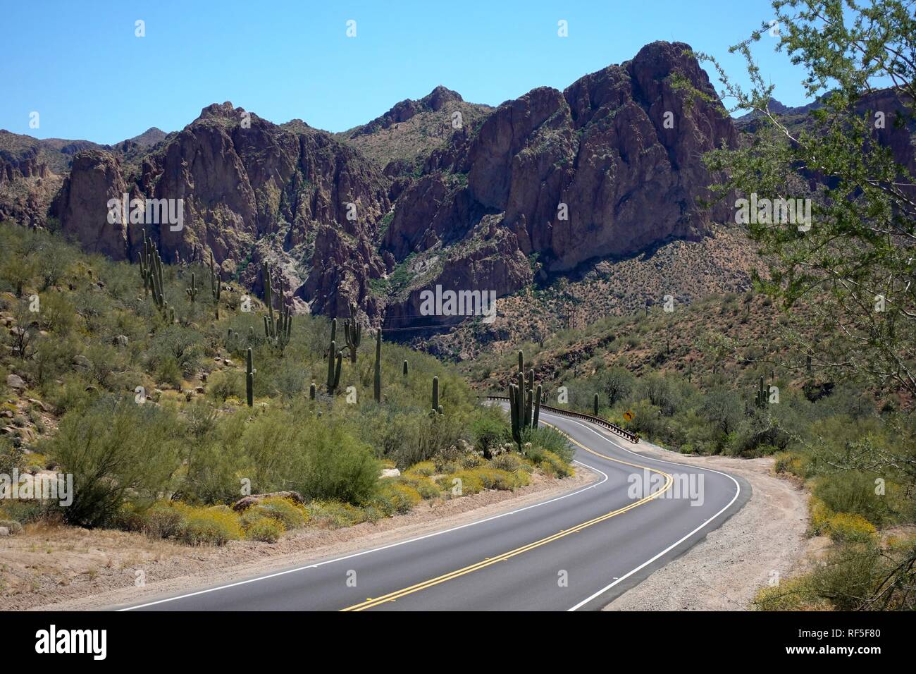 Empty open road in desert hi-res stock photography and images - Alamy