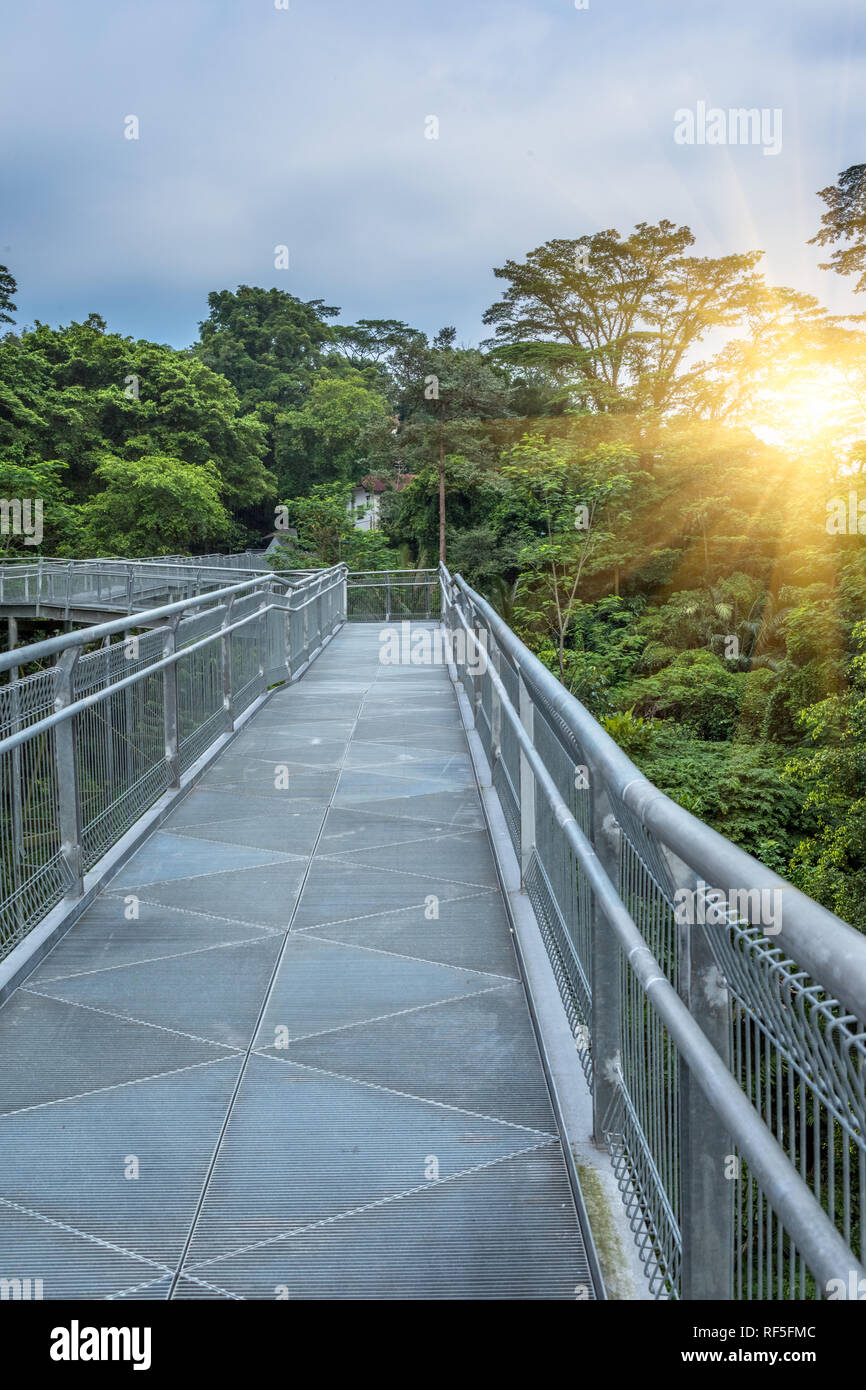 footpath in garden, Singapore Botanic Gardens Stock Photo - Alamy