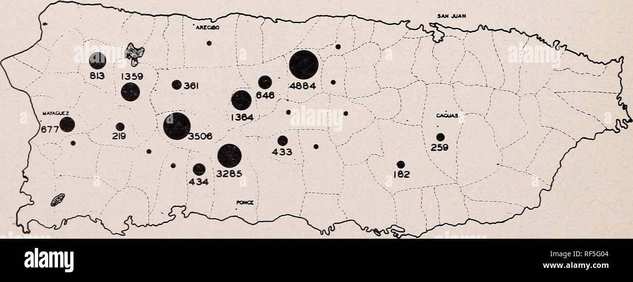 . Vanilla culture in Puerto Rico. Vanilla; Orchids. Figure 4.—The ...