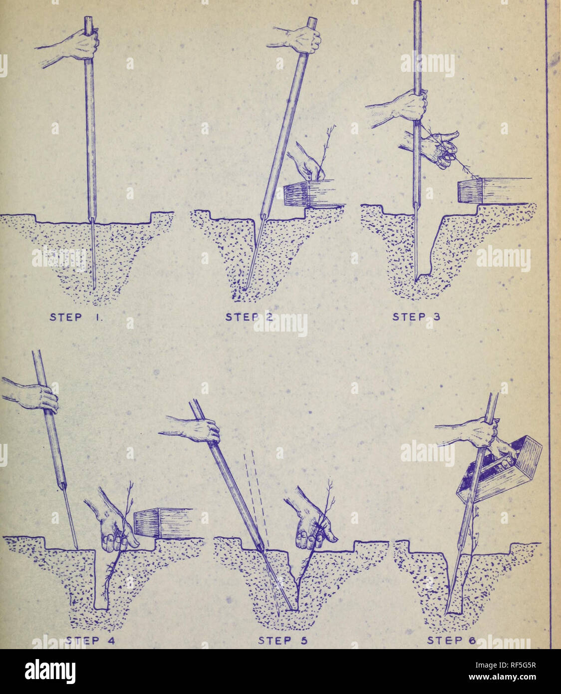 Soil conservation techniques hi-res stock photography and images - Alamy