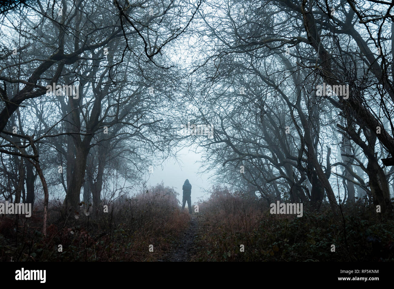 Figure Woods Scary Stock Photos & Figure Woods Scary Stock Images - Alamy