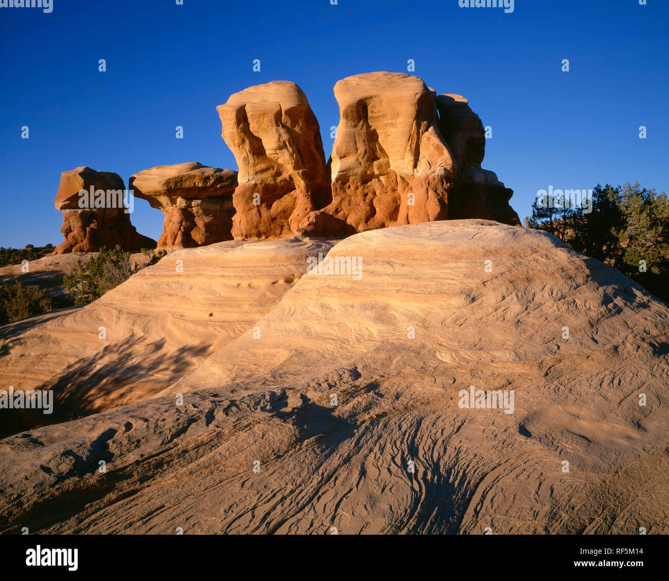 USA, Utah, Grand Staircase Escalante National Monument, Evening light ...