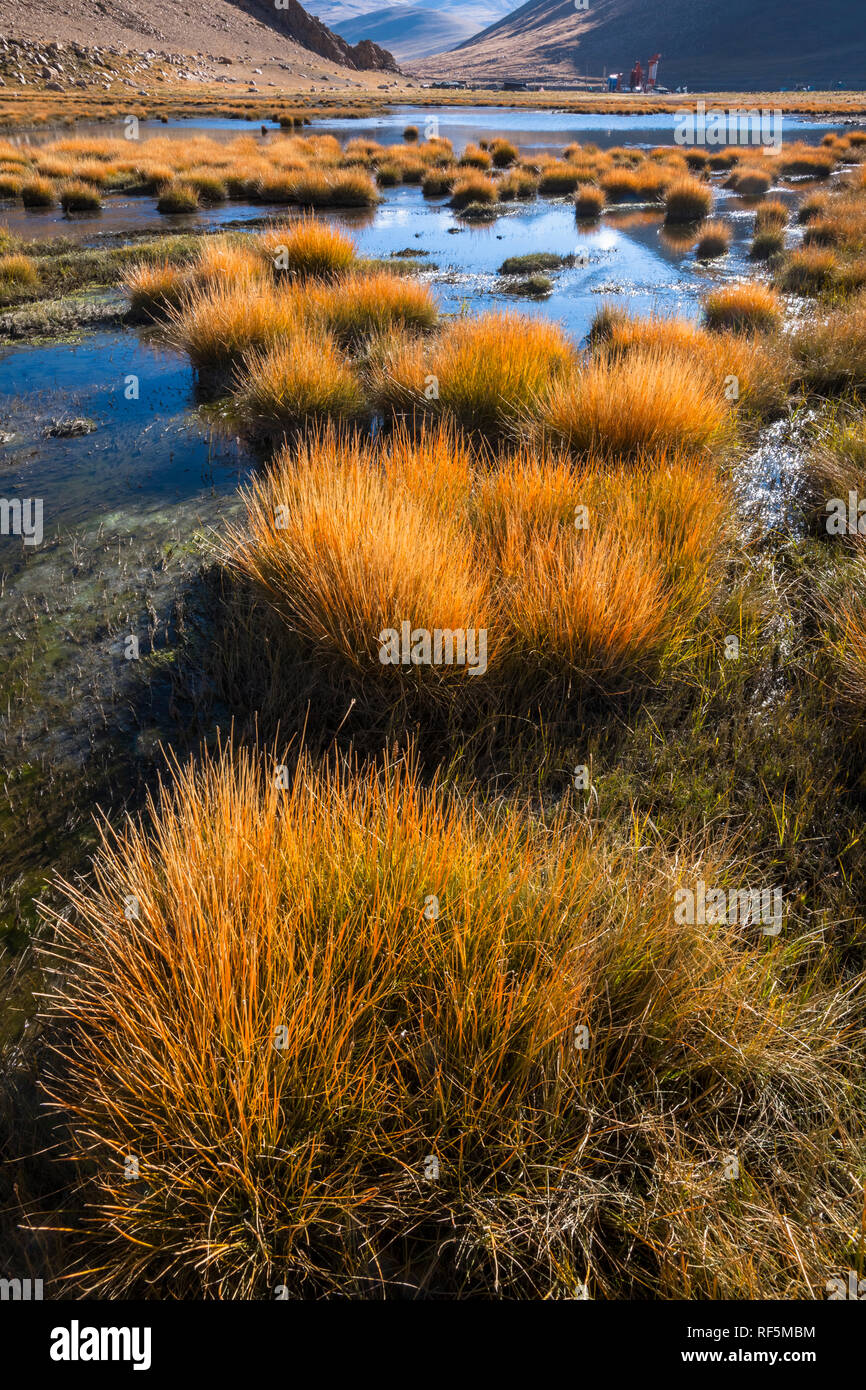 clean landscape in tibet china Stock Photo - Alamy