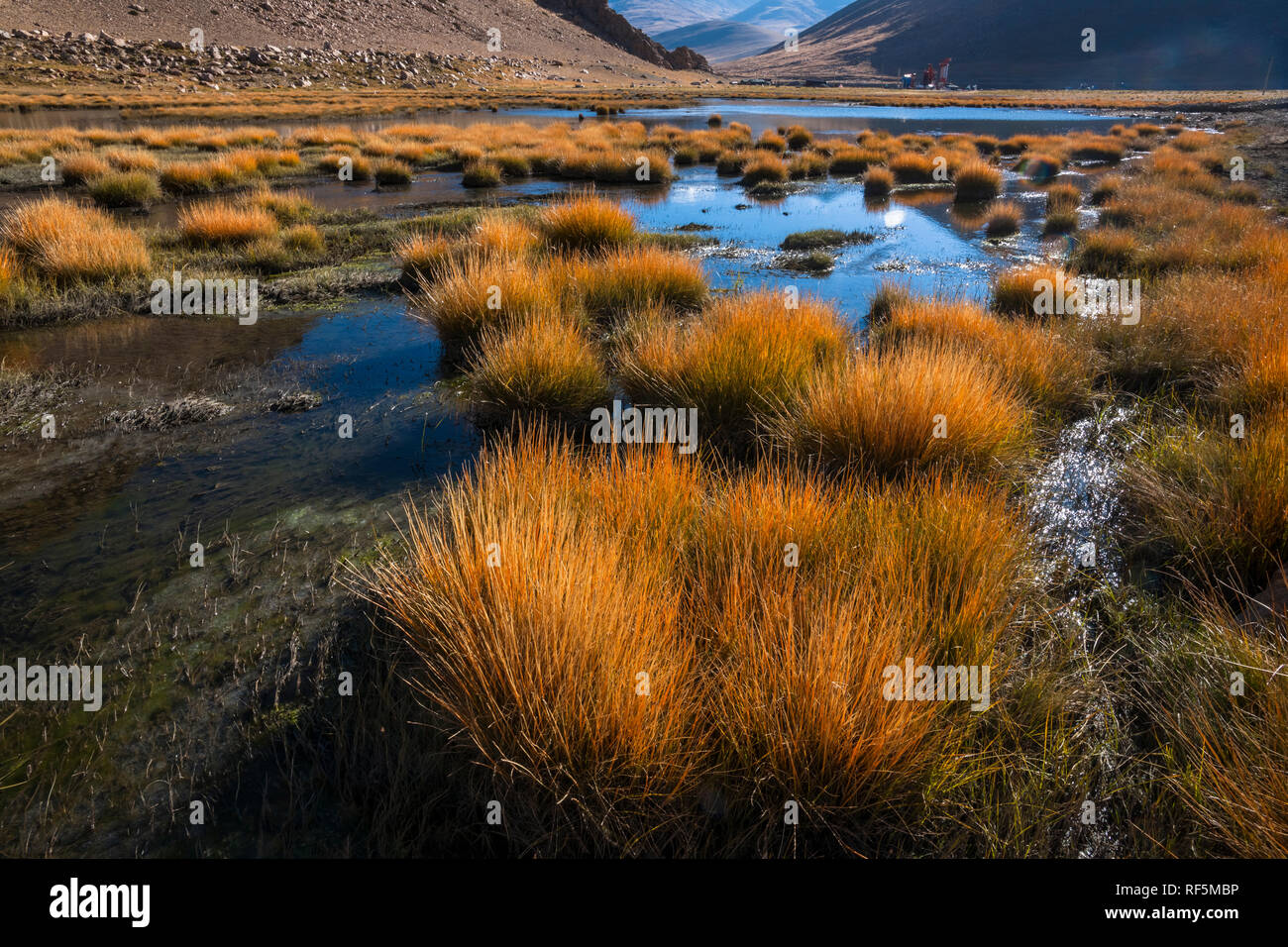 clean landscape in tibet china Stock Photo - Alamy