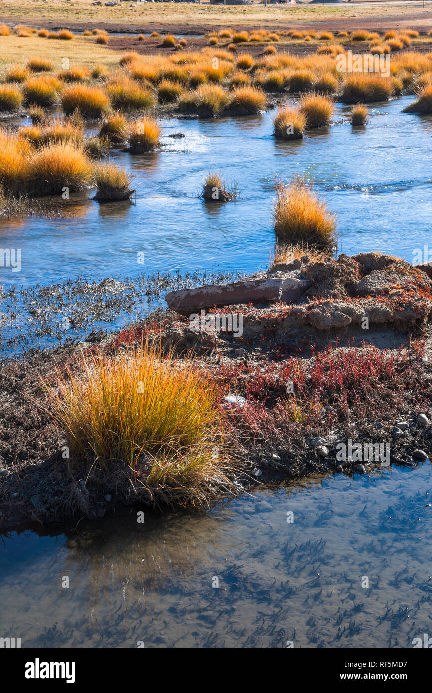 clean landscape in tibet china Stock Photo - Alamy