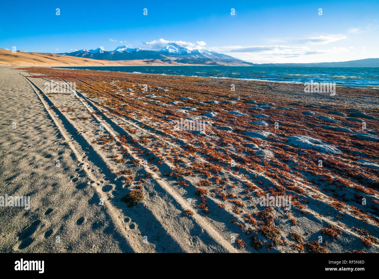 clean landscape in tibet china Stock Photo - Alamy