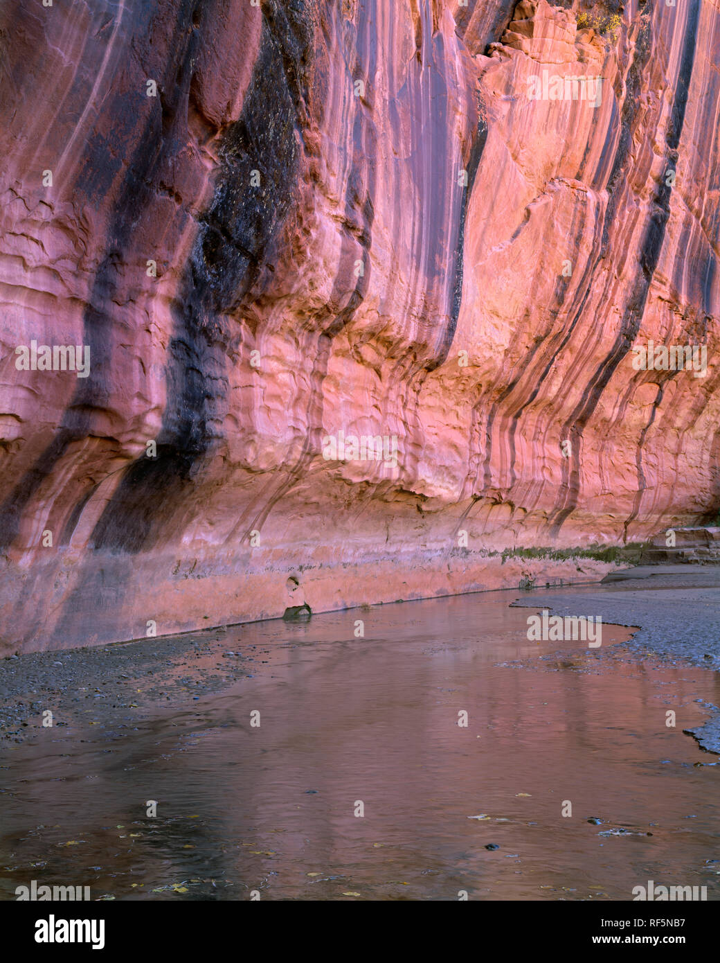 USA, Utah, Harris Creek and mineral streaked sandstone walls in Harris ...