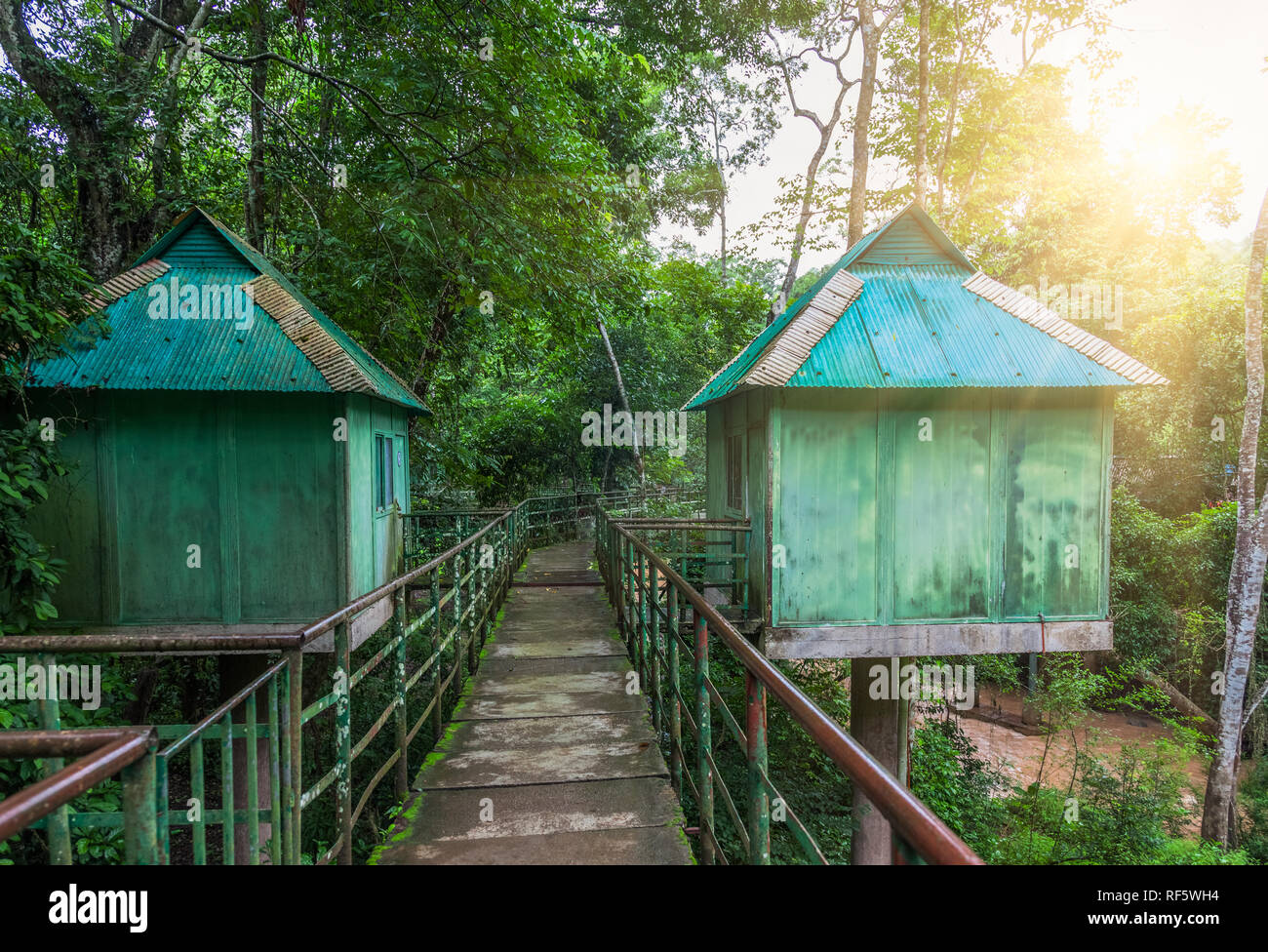 Remote tree house hi-res stock photography and images - Alamy