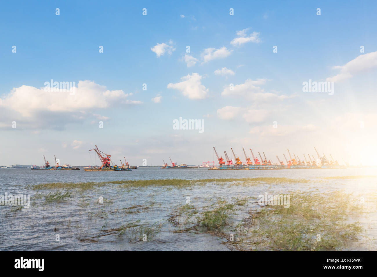 Shanghai docks china hi-res stock photography and images - Alamy