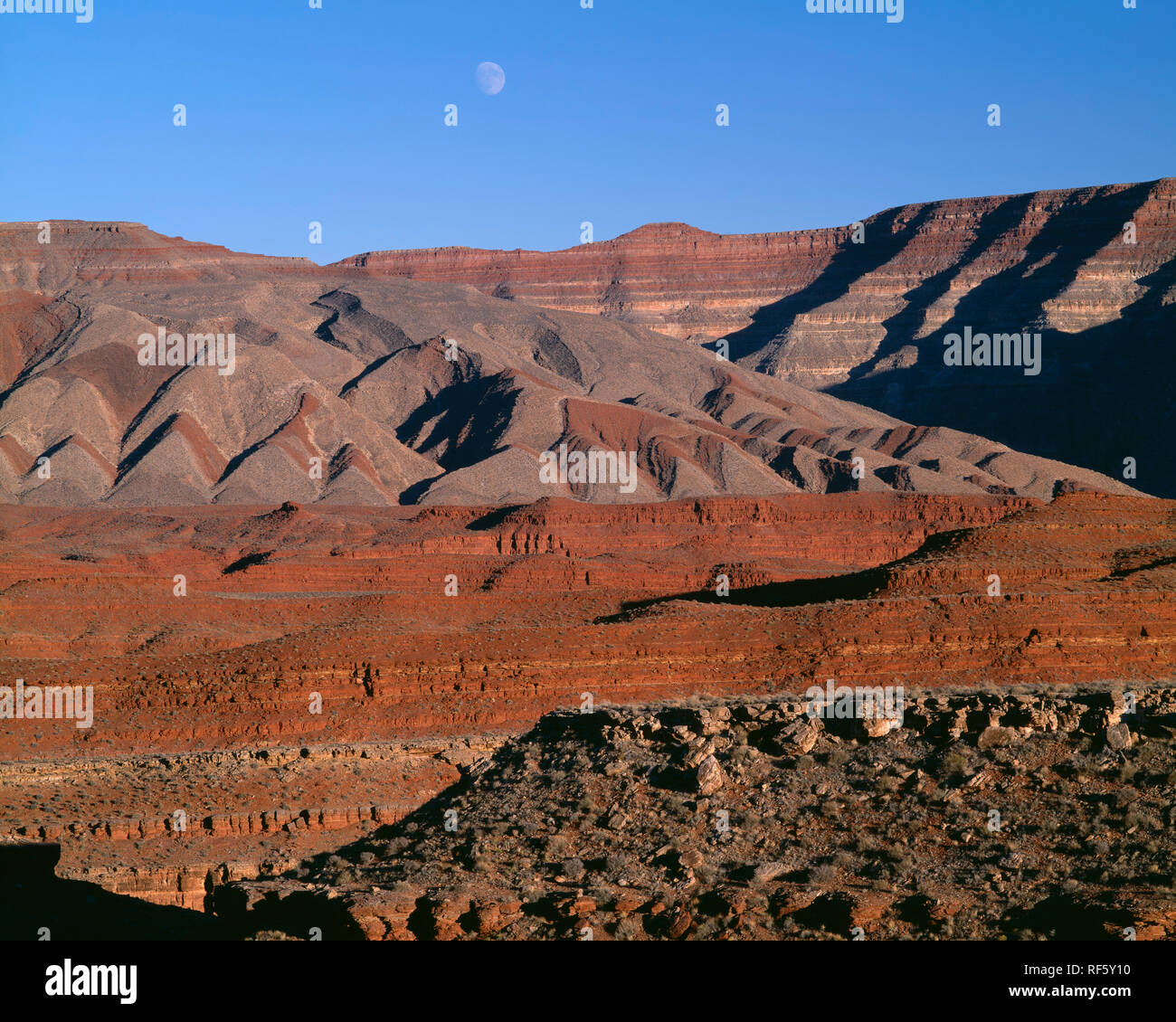 USA, Utah, San Juan County; Moonrise over Raplee Ridge displaying ...