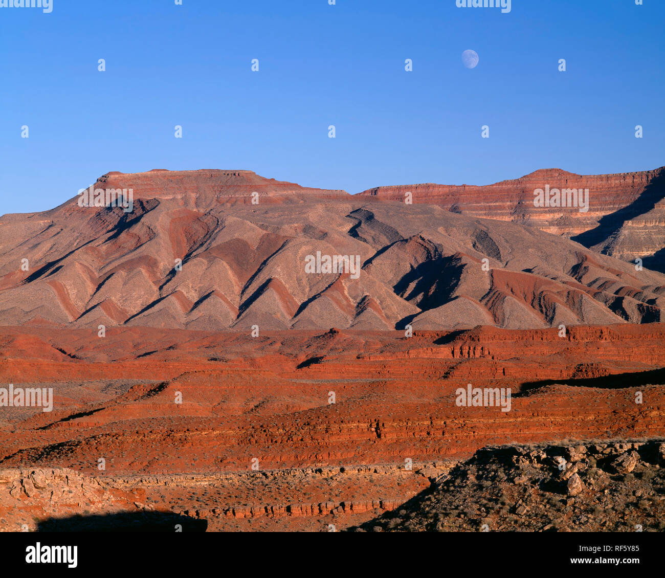 USA, Utah, San Juan County; Moonrise over Raplee Ridge displaying ...