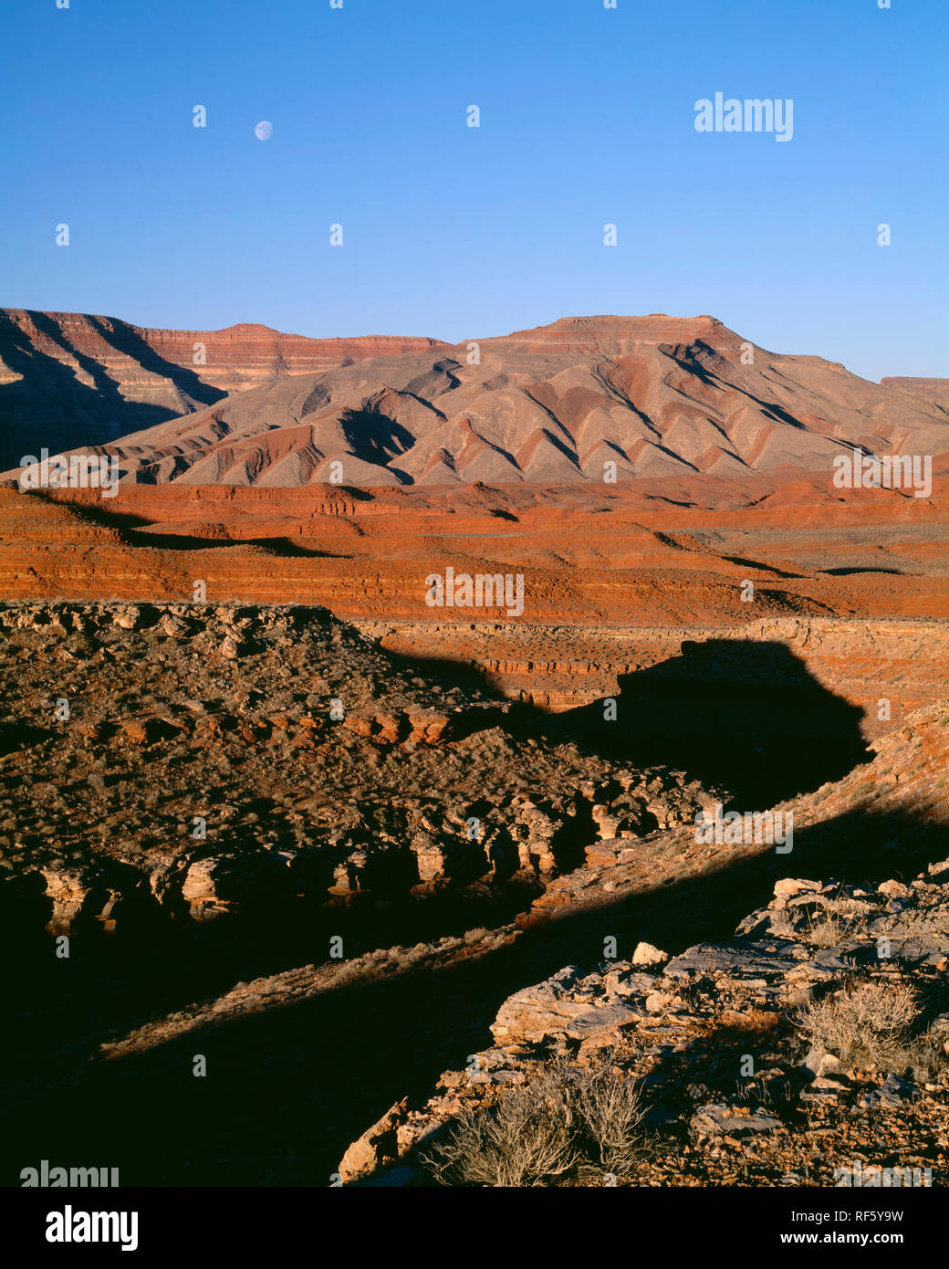 USA, Utah, San Juan County; Moonrise over Raplee Ridge displaying ...
